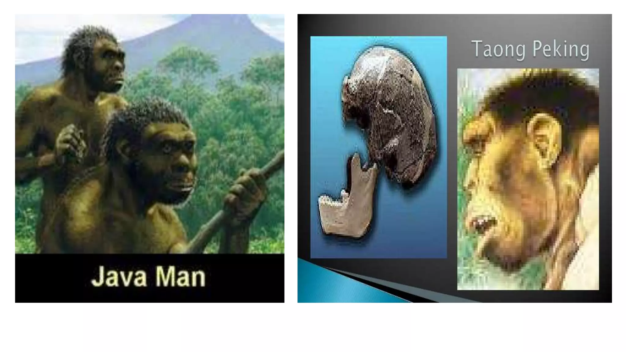 Mga teorya ng pinagmulan ng lahing pilipino | PPTX