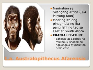 MGA TEORYA tungkol sa PINAGMULAN ng TAO sa.pptx