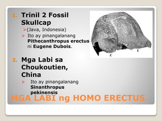 MGA TEORYA tungkol sa PINAGMULAN ng TAO sa.pptx