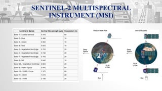 Mga tunga sentinel | PPTX