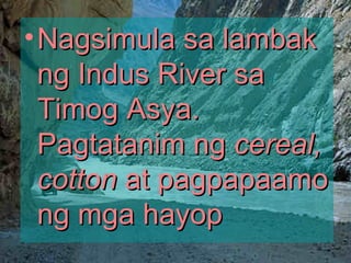 Mga Unang Magsasaka | PPT