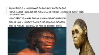 Mga unang tao sa asya | PPTX