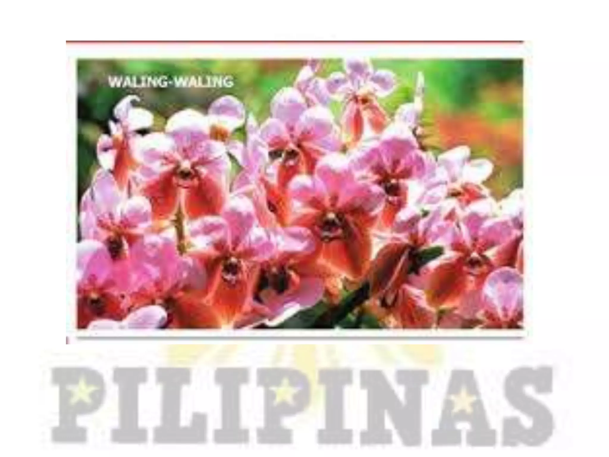 Mga uri ng Halaman sa Pilipinas ( Grade 4 ) | PPTX