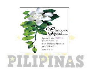 Mga uri ng Halaman sa Pilipinas ( Grade 4 ) | PPTX