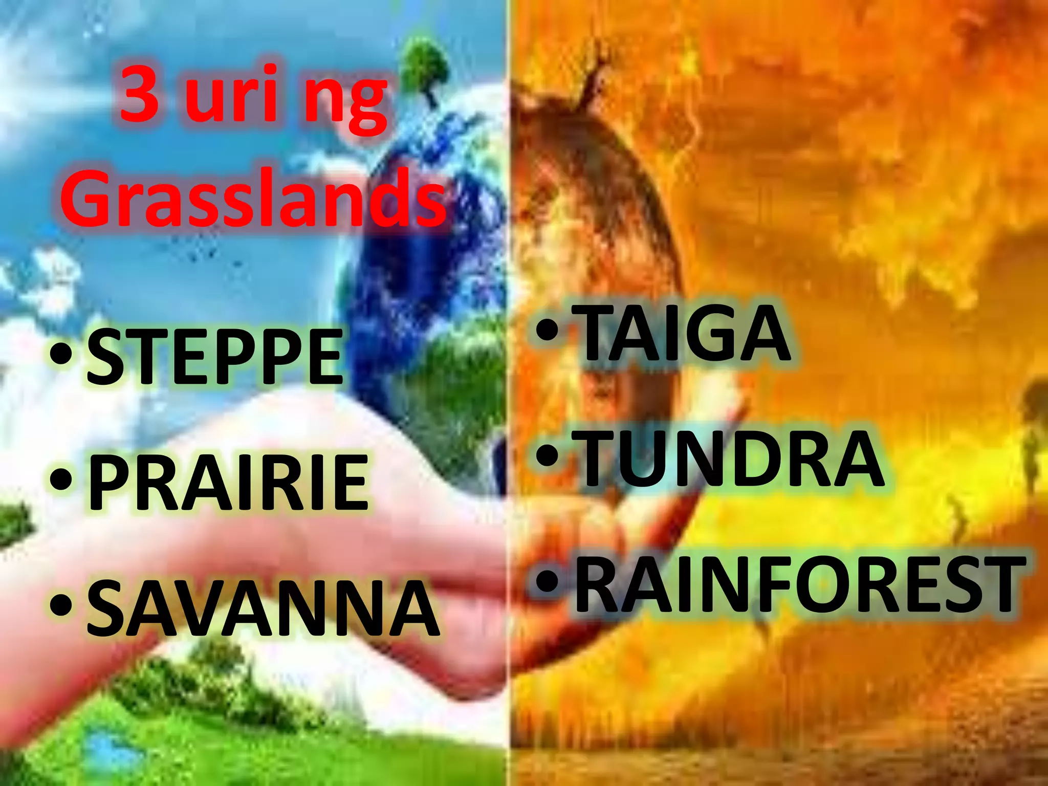 Mga vegetation cover sa asya | PPTX