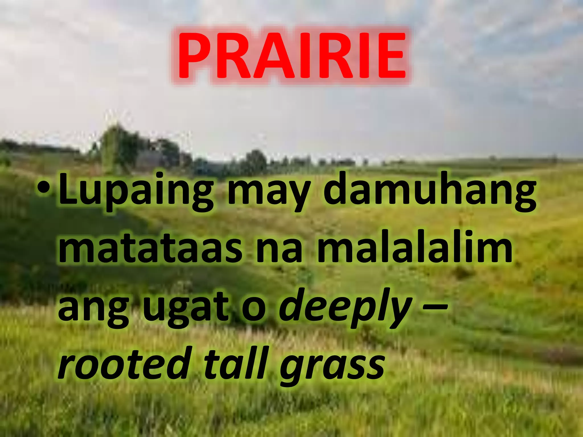 Mga vegetation cover sa asya | PPTX
