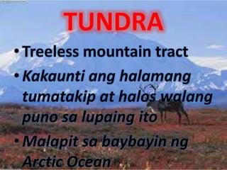 Mga vegetation cover sa asya | PPTX