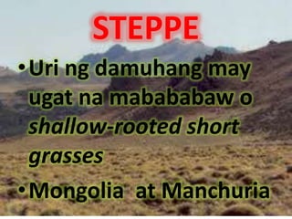 Mga vegetation cover sa asya | PPTX