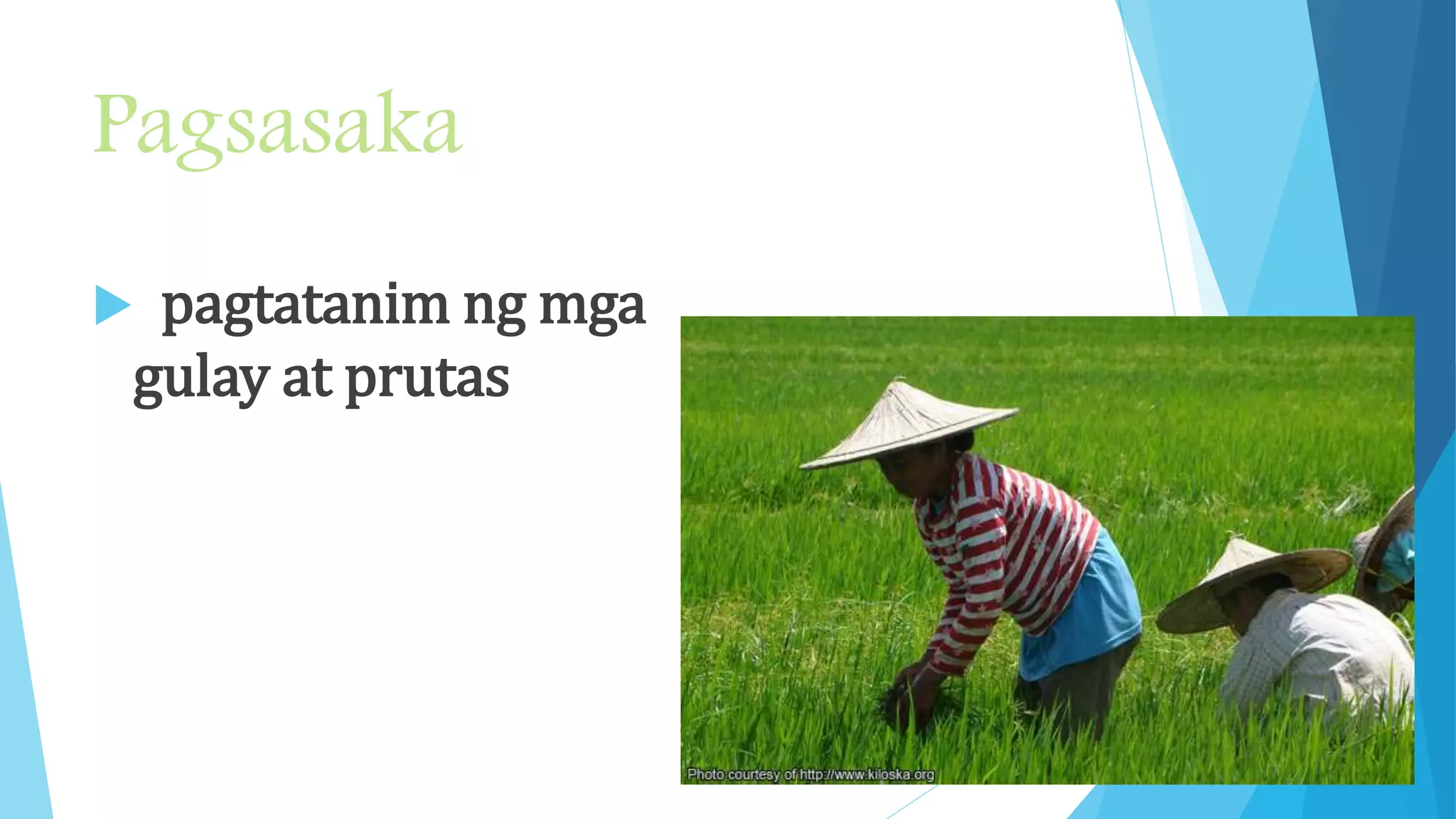 Mga Yamang Tao at Hanapbuhay sa Aking Komunidad | PPTX