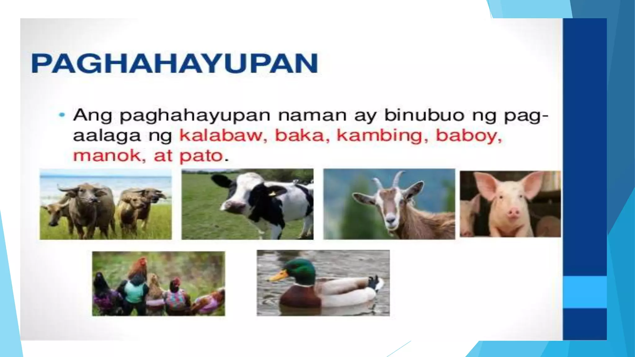 Mga Yamang Tao at Hanapbuhay sa Aking Komunidad | PPTX
