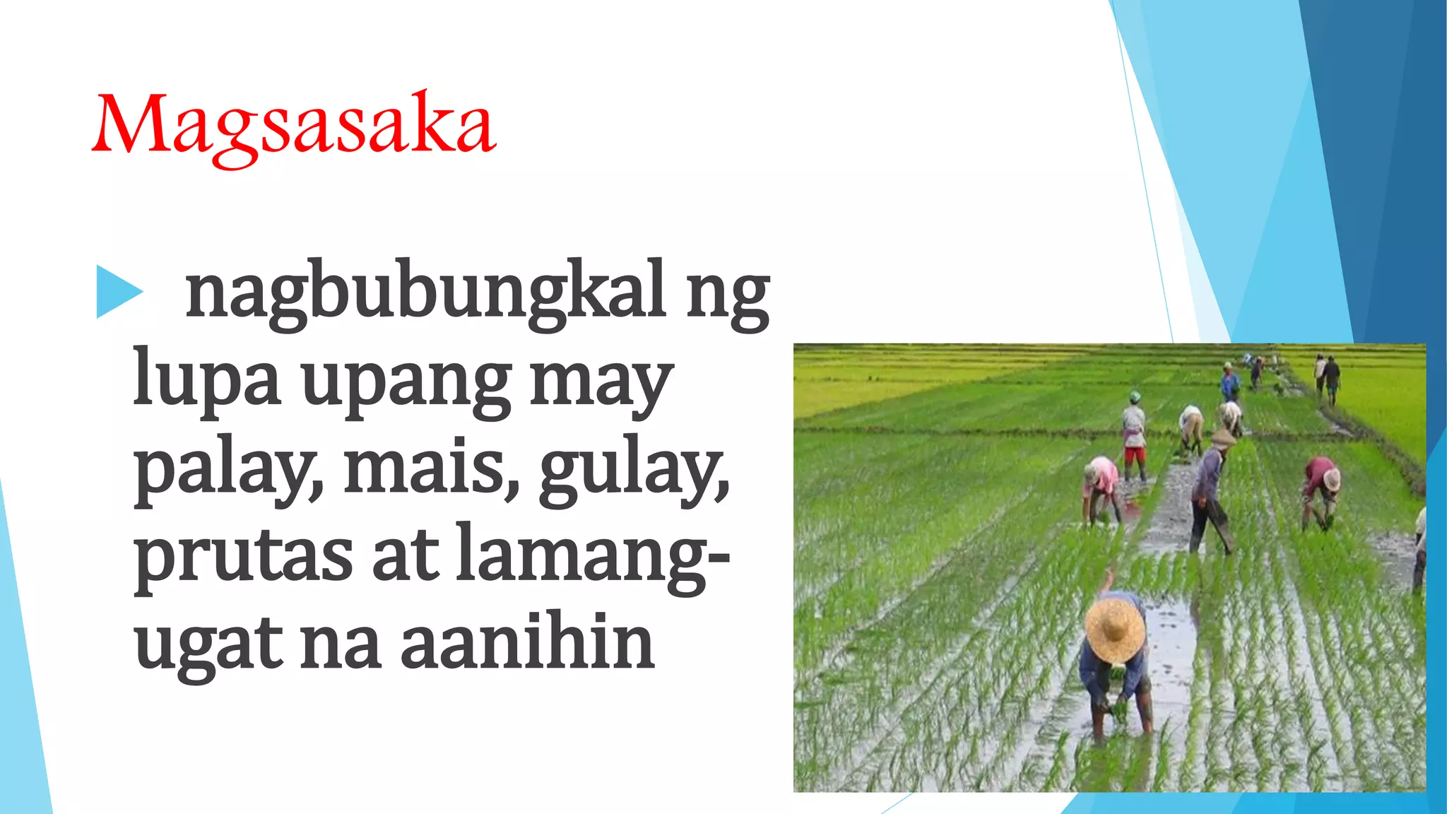 Mga Yamang Tao at Hanapbuhay sa Aking Komunidad | PPTX