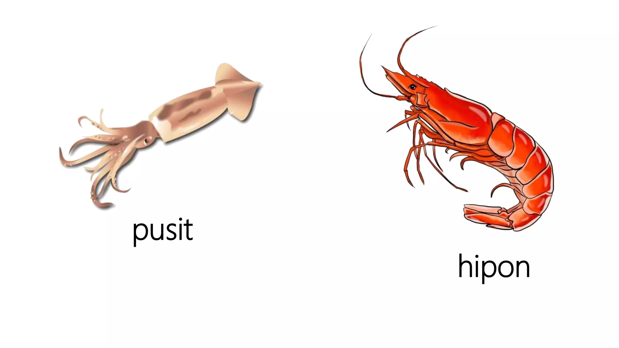 Mga Yamang Tubig | PPTX