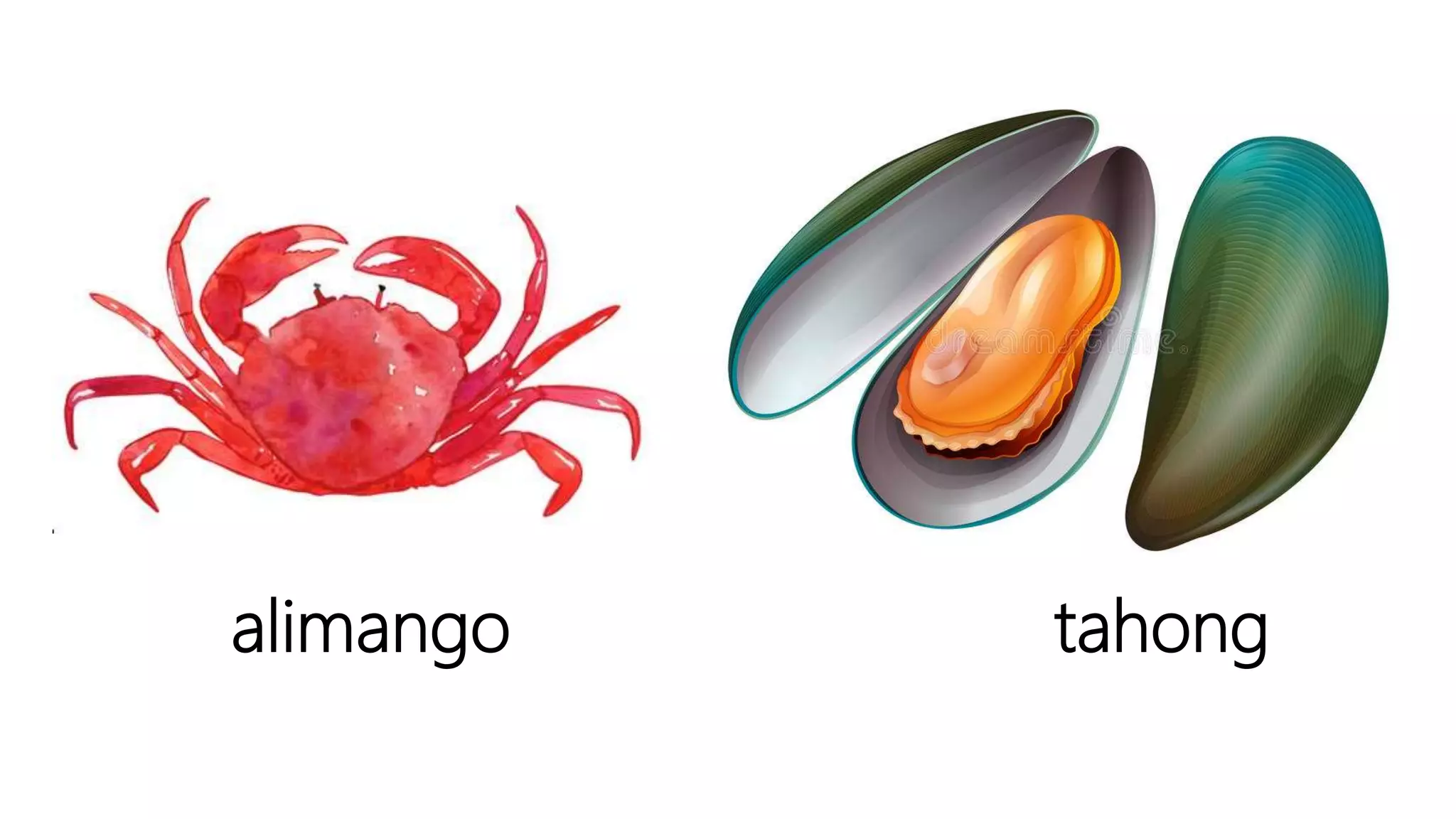 Mga Yamang Tubig | PPTX