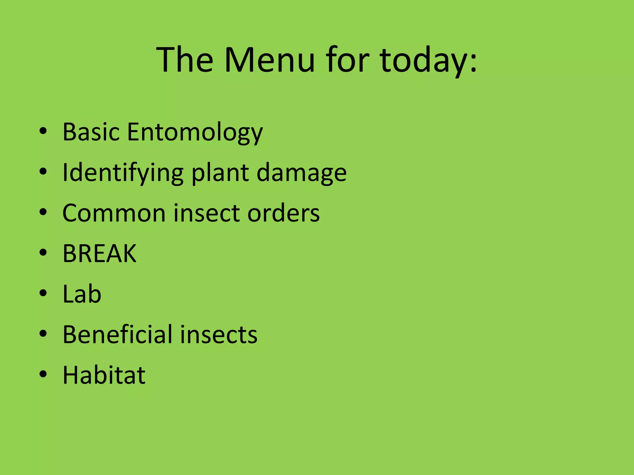 Basic Entomology | PPTX