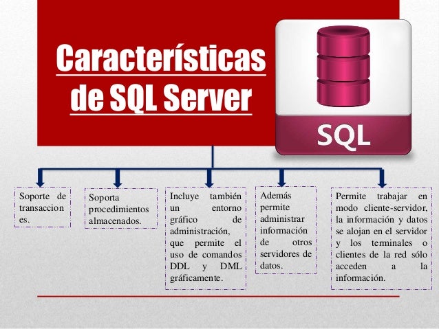 SQL SERVER