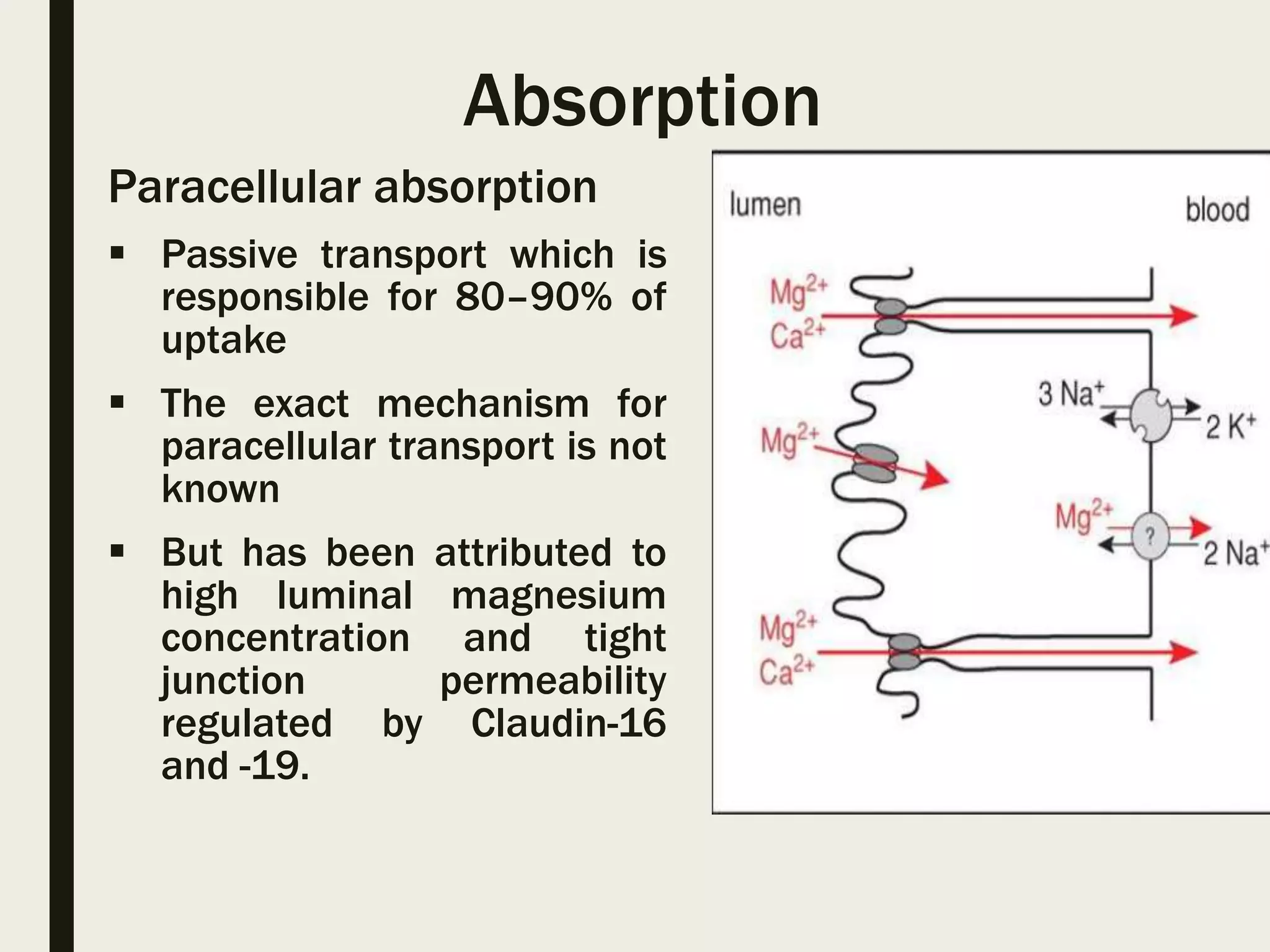 Magnesium for class | PPTX