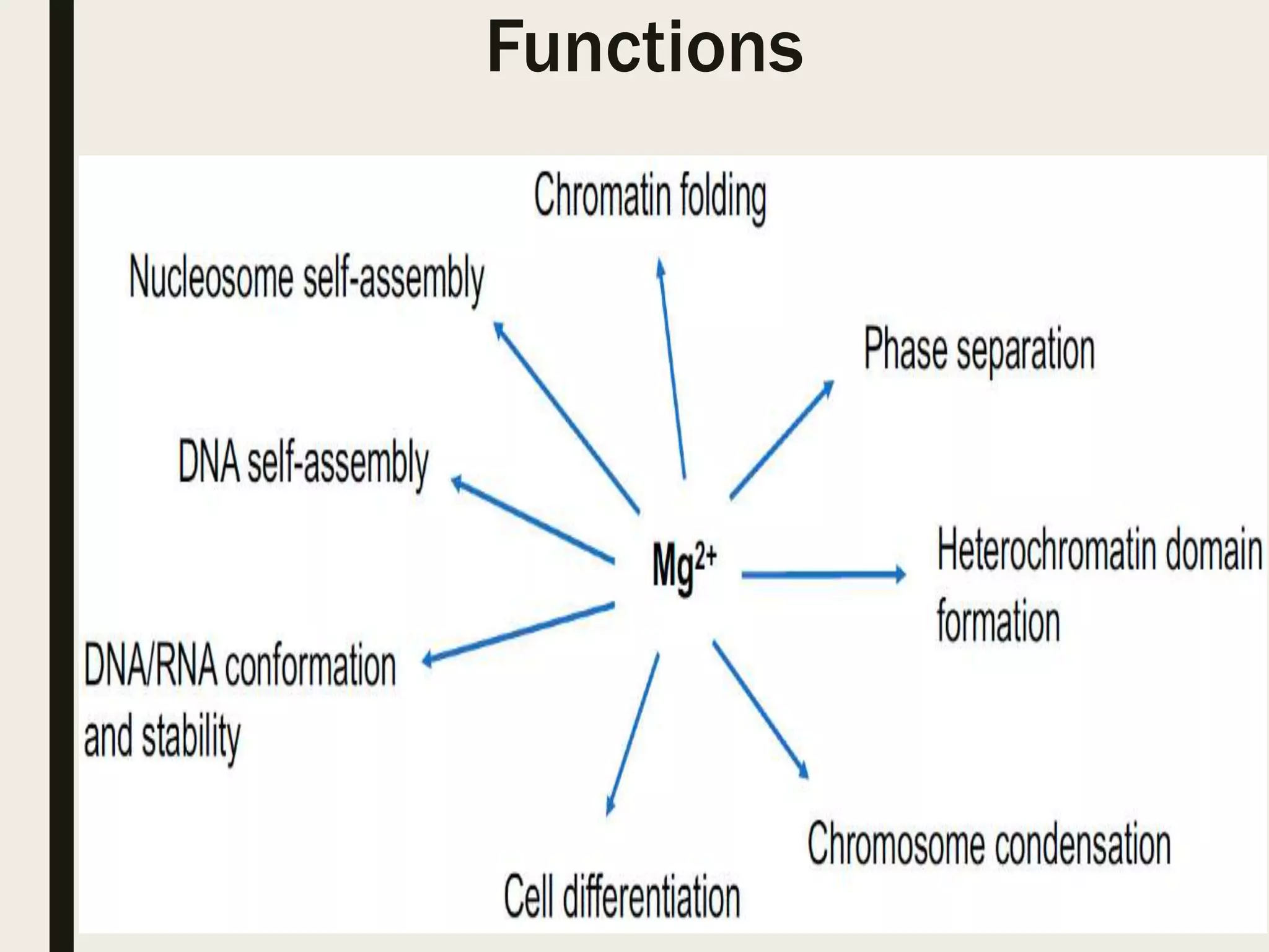 Magnesium for class | PPTX