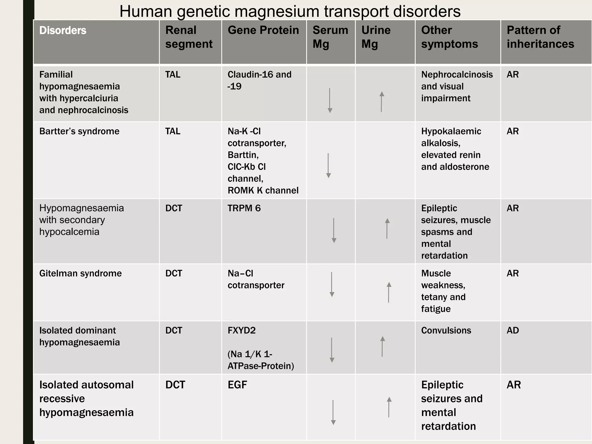 Magnesium for class | PPTX