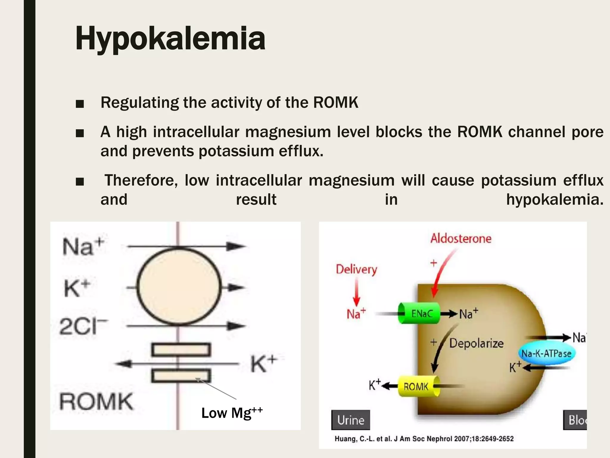 Magnesium for class | PPTX