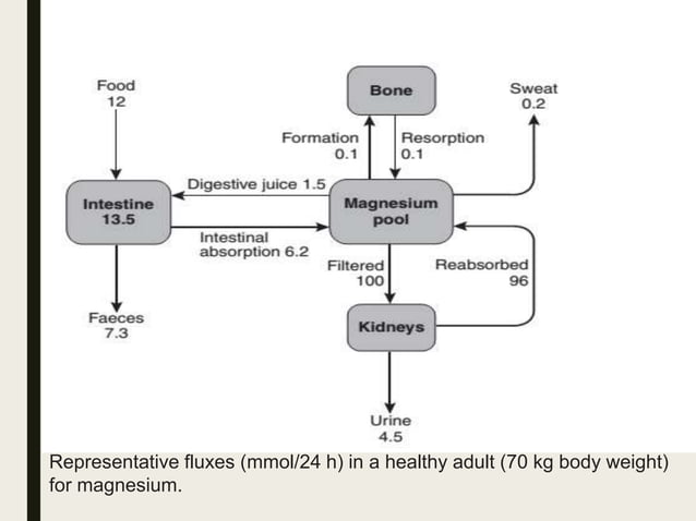 Magnesium for class | PPTX