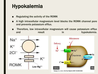 Magnesium for class | PPT