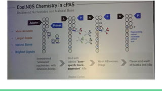 Mgi bgi cool ngs vs sbs | PDF