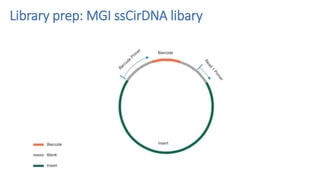 MGI DNBSEQ Sequencing Technology short.pptx