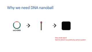 MGI DNBSEQ Sequencing Technology short.pptx