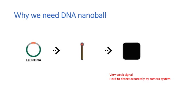 MGI DNBSEQ Sequencing Technology short.pptx