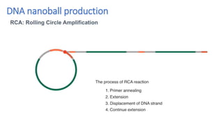 MGI DNBSEQ Sequencing Technology short.pptx