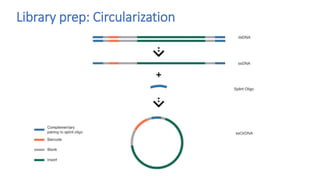 MGI DNBSEQ Sequencing Technology short.pptx