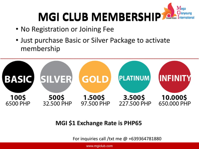 Mgi Club presentation | PDF