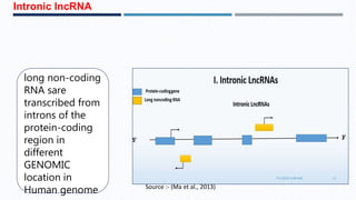 Long non coding RNA or lncRNA | PPTX