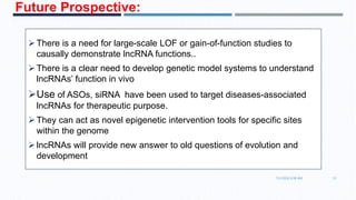 Long non coding RNA or lncRNA | PPTX