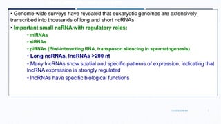 Long non coding RNA or lncRNA | PPTX