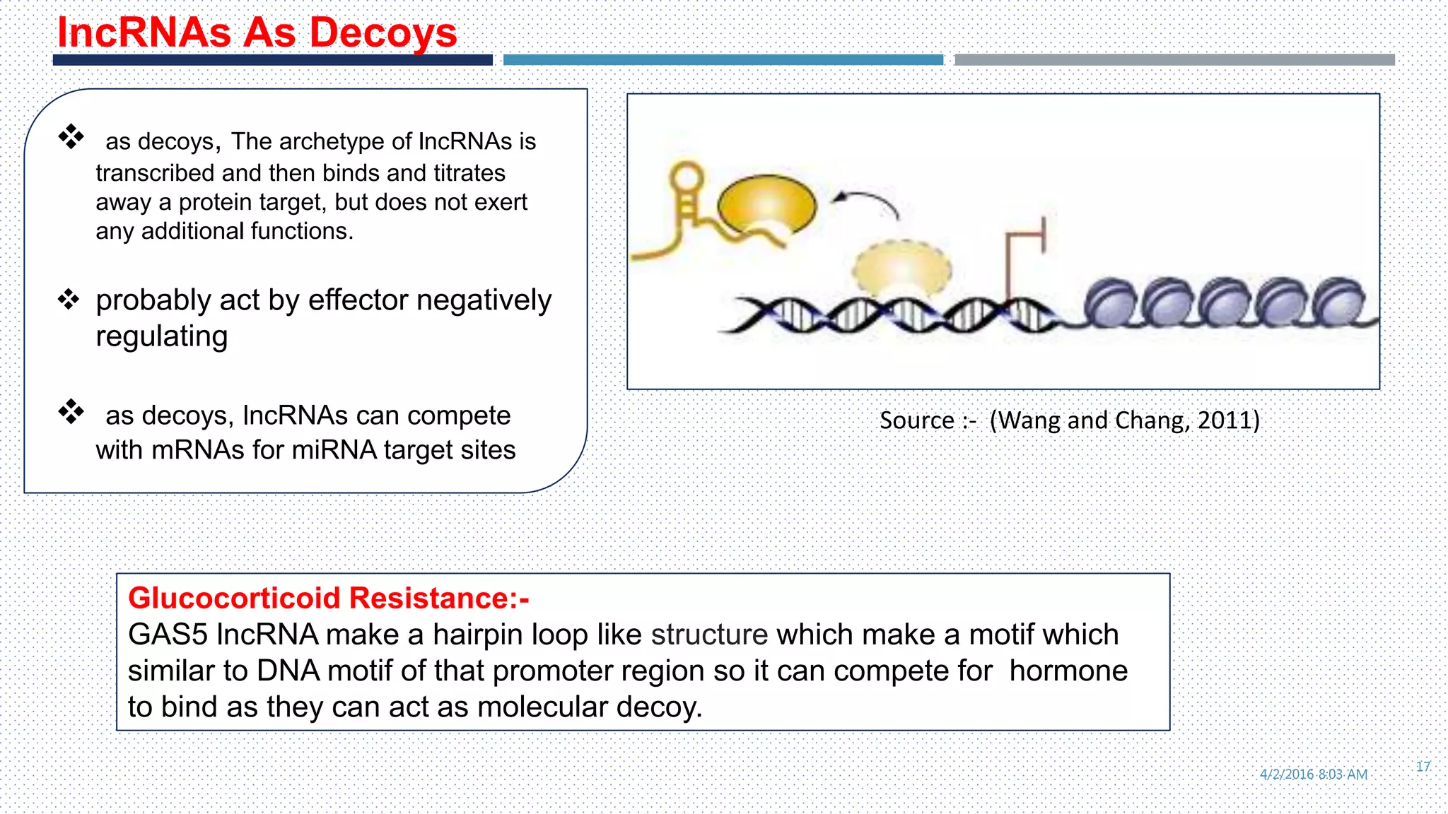 Long non coding RNA and Their clinical perspective | PPT