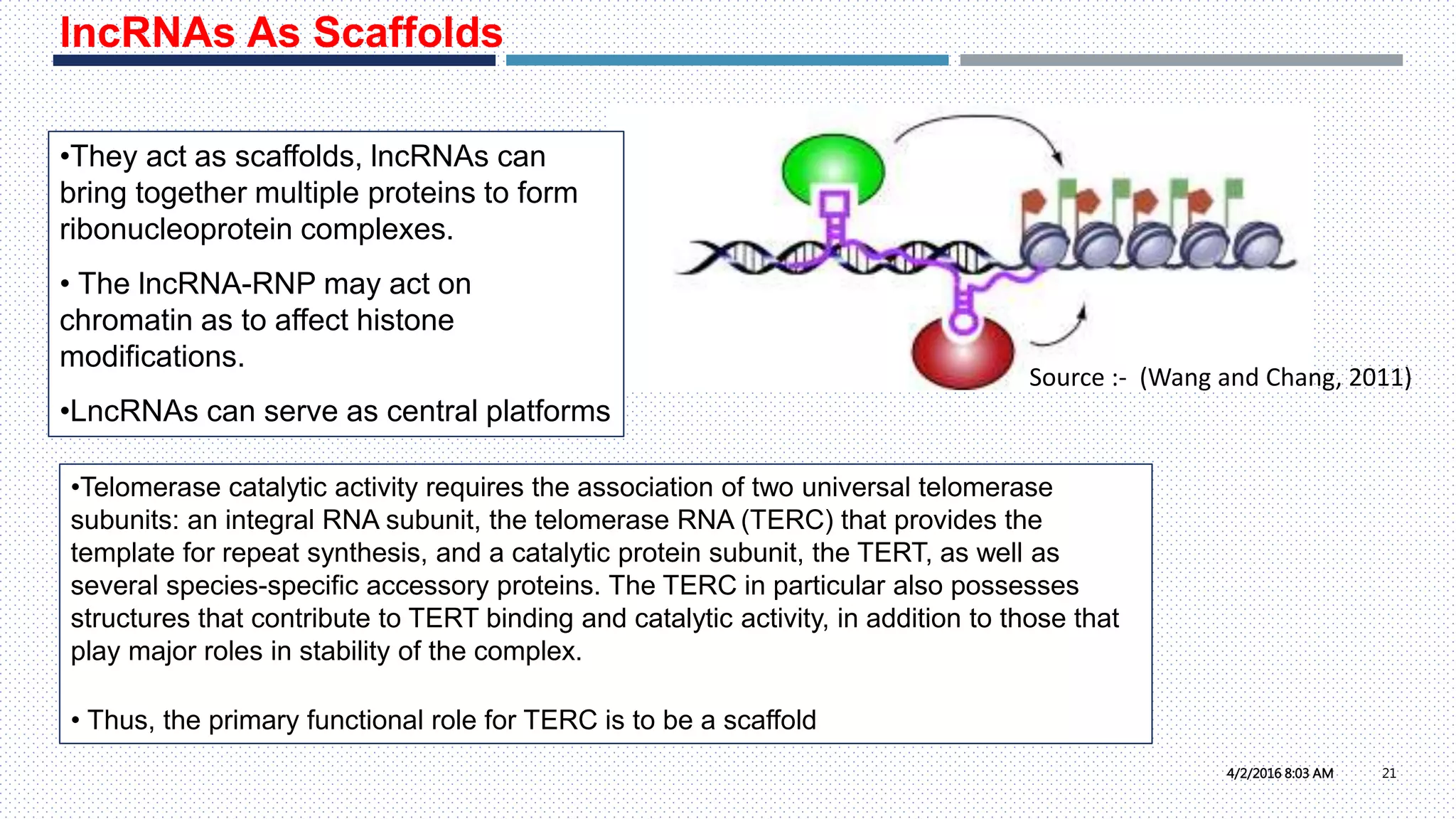 Long non coding RNA and Their clinical perspective | PPT