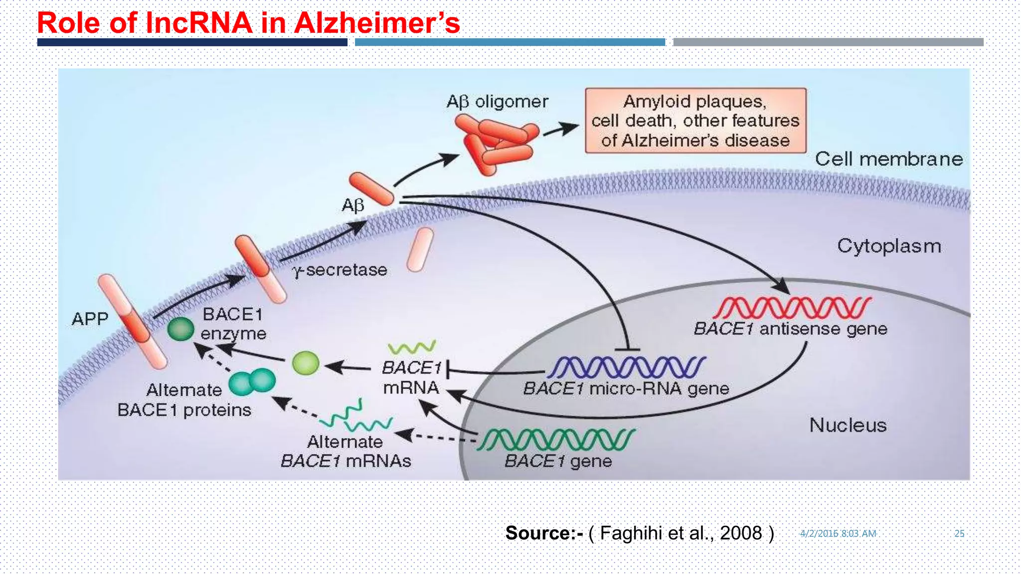 Long non coding RNA and Their clinical perspective | PPT