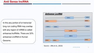 Long non coding RNA and Their clinical perspective | PPT