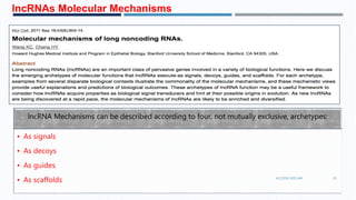 Long non coding RNA and Their clinical perspective | PPT