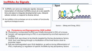 Long non coding RNA and Their clinical perspective | PPT