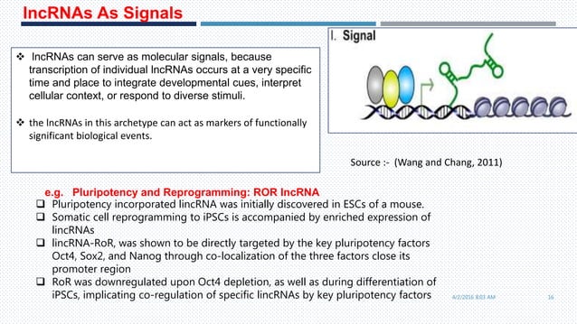 Long non coding RNA and Their clinical perspective | PPT