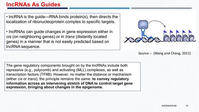 Long non coding RNA and Their clinical perspective | PPT