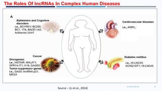 Long non coding RNA and Their clinical perspective | PPT