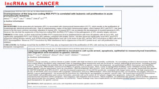 Long non coding RNA and Their clinical perspective | PPT