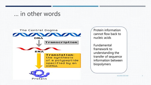 Long non coding RNA and Their clinical perspective | PPT