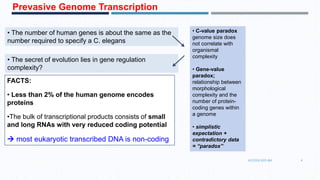 Long non coding RNA and Their clinical perspective | PPT