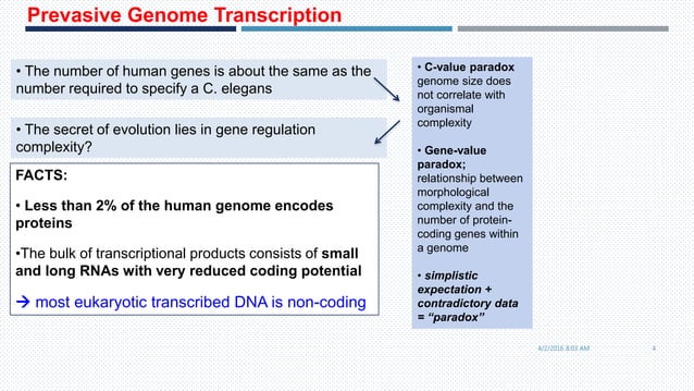 Long non coding RNA and Their clinical perspective | PPT