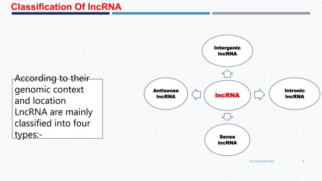 Long non coding RNA and Their clinical perspective | PPT