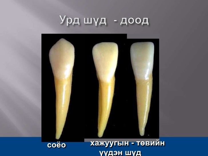 202 хэсэг бие даалт